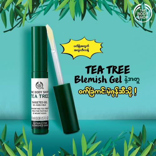 Tea Tree Targeted Gel | Beauty Diary