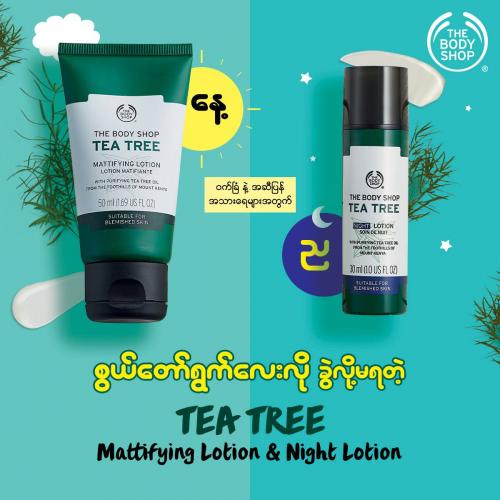 Tea Tree Mattifying Lotion | Beauty Diary